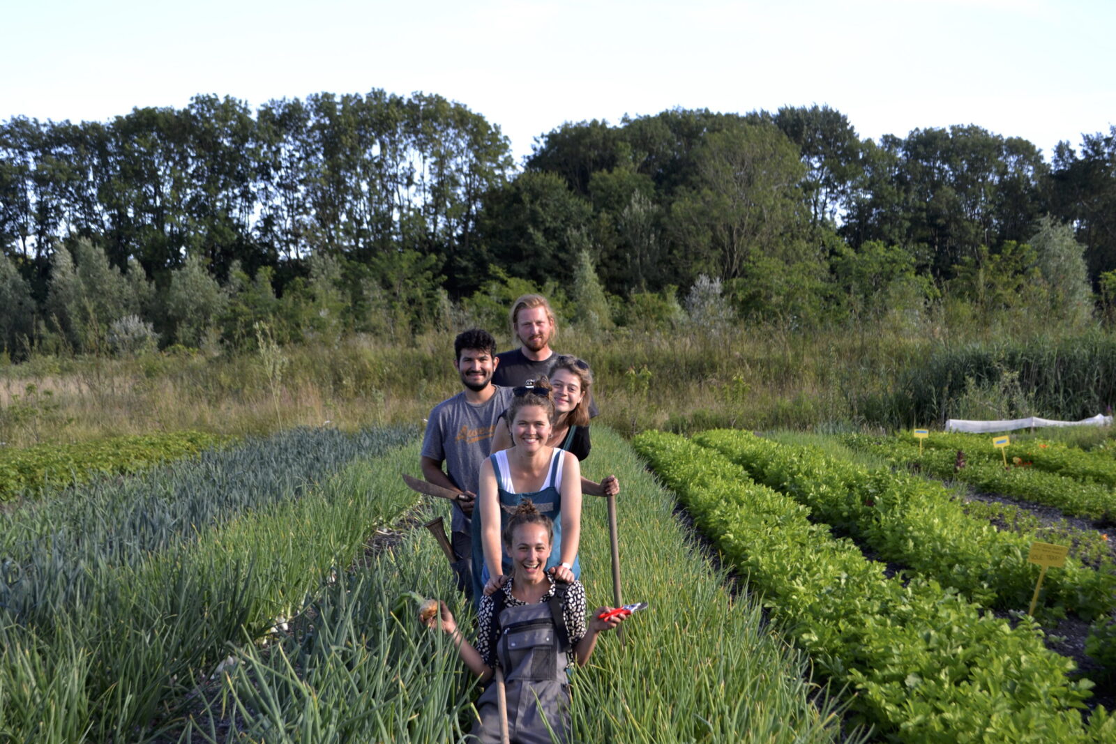 Fort negen - Van Amsterdam Bodem