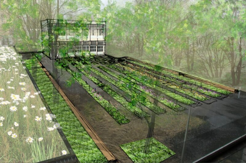 WOW Plantage - Van Amsterdam Bodem