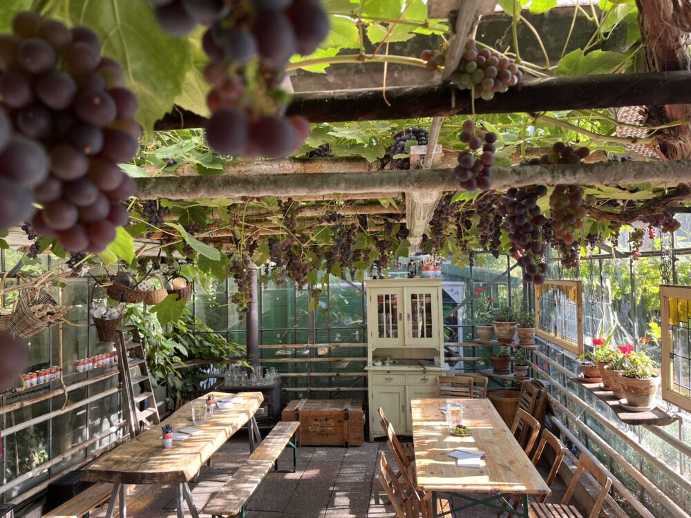 A Beautiful Mess - Van Amsterdam Bodem